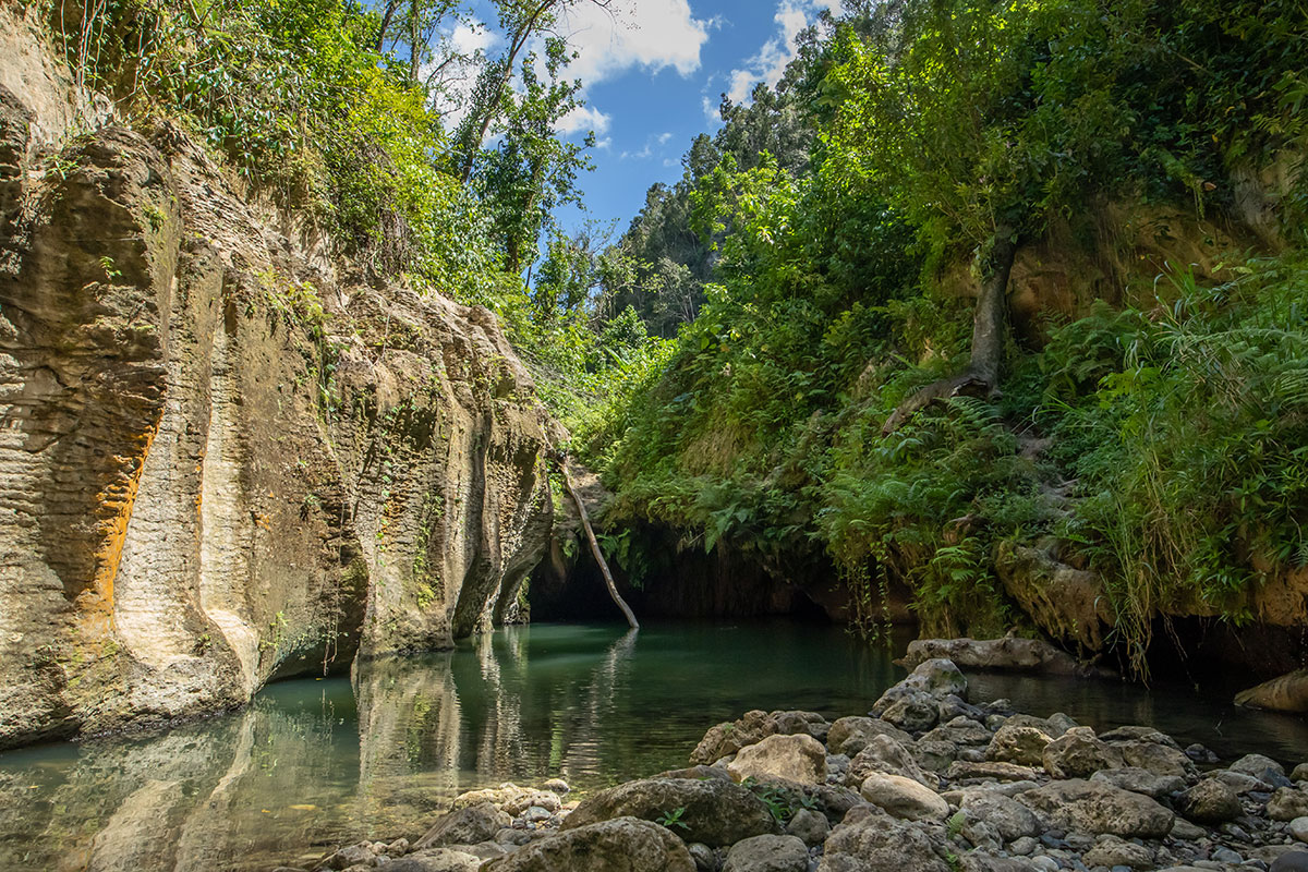 Arenales Caves, River Trekking and Natural Spring Adventure - Puerto ...