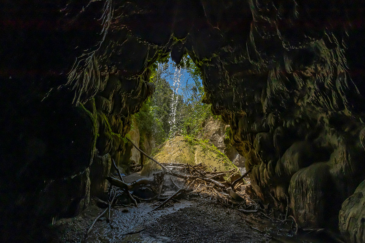 Arenales Caves, River Trekking and Natural Spring Adventure - Puerto ...