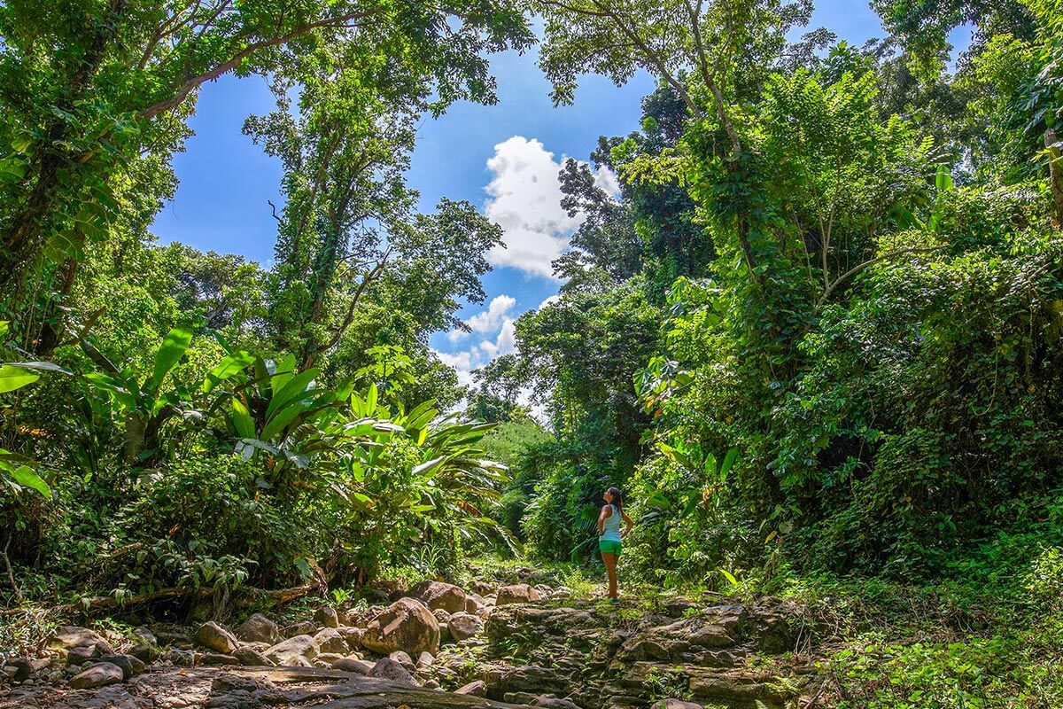 Rainforest Swimming and Beach Adventure in Puerto Rico - Puerto Rico as ...