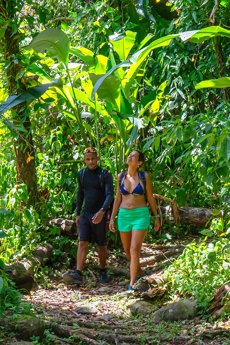 Rainforest Swimming and Beach Adventure in Puerto Rico - Puerto Rico as ...